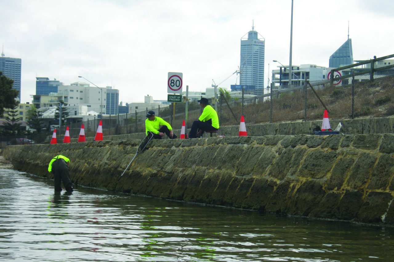 South Perth Seawall Rehabilitation | Mainmark